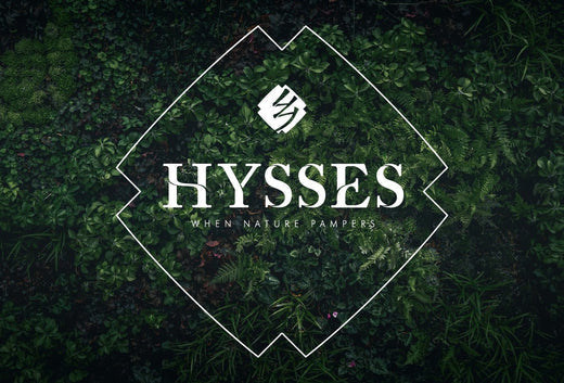 Mt. Sapola Rebrands To Hysses - Hysses Indonesia
