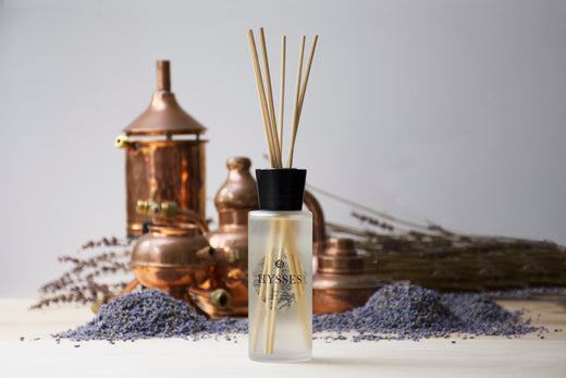 The Best Diffusers to Scent Your Home - Hysses Indonesia