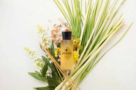 Prevent Dengue & Protect Your Loved Ones - Hysses Indonesia